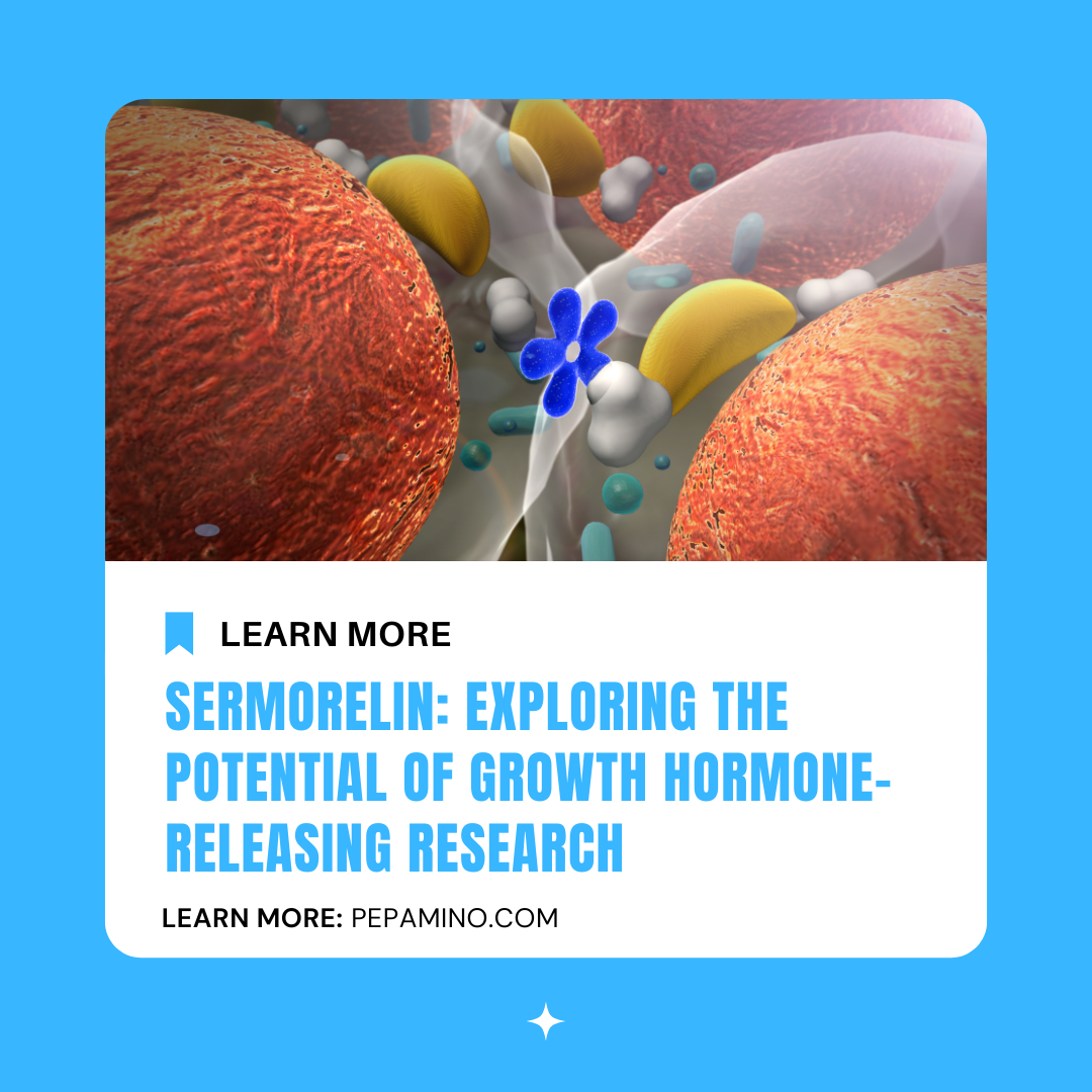 Growth Hormone & Muscle Growth